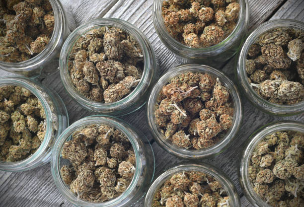 The Chef's Guide: Stocking Your Pantry for Cannabis Cuisine - 5 Minute ...